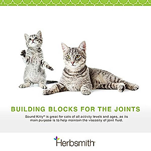 Herbsmith Sound Kitty – 5-in-1 Joint Care for Cats with Chondroitin, Glucosamine & MSM – 75g