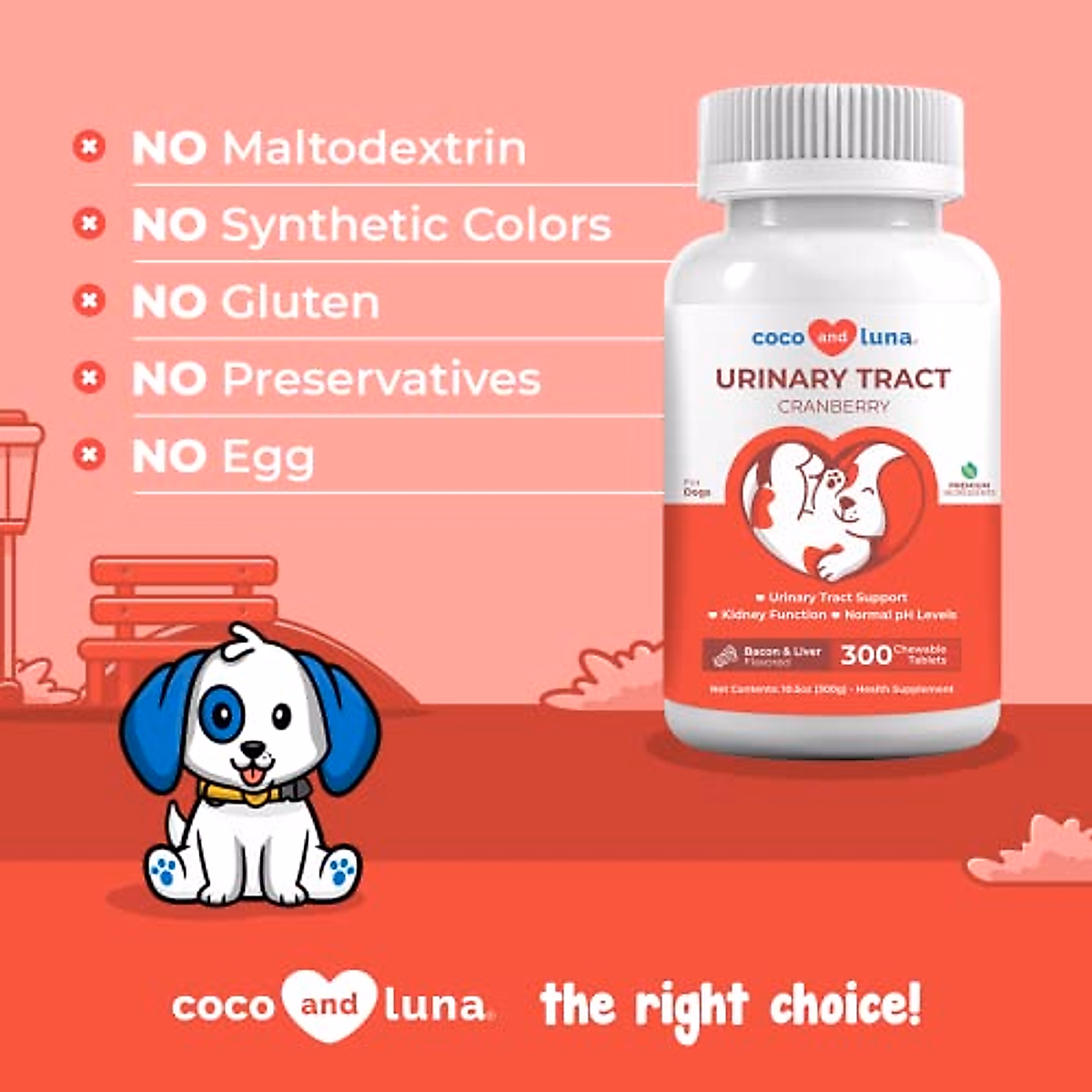 Cranberry for Dogs - 300 Chewable Tablets - Urinary Tract Support, Bladder Support for Dogs, Dog UTI, Bladder Stones, Dog Incontinence Support, Cranberry Supplement for Dogs