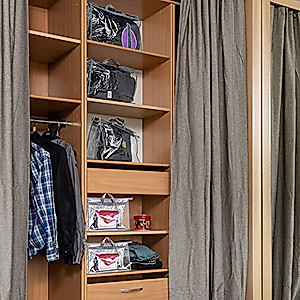 10Pcs Clear Handbag Storage Organizer Dust Cover Bags, LASZOLA 5 Sizes Transparent Purse Protector Storage Bag with Zipper and Handle for closet shelf - Dustproof & Moistureproof (Black+ Beige)