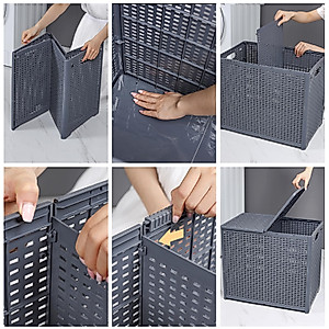 Rosebloom Plastic Double Laundry Hamper with Lid, Collapsible 2 Section Laundry Basket, Gray