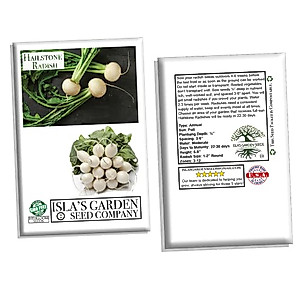 Hailstone Radish Seeds, 250+ Heirloom Seeds, (Isla's Garden Seeds), Non GMO Seeds, Botanical Name: Beta vulgaris
