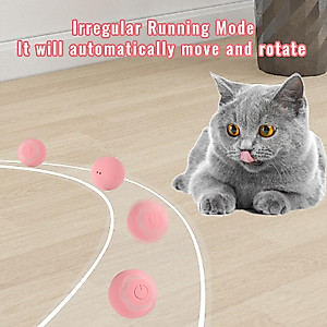 CyperGlory Interactive Cat Smart Ball Toy 2.0, Automatic Power Rolling Ball with Colorful Lights & Floral Design, USB Rechargeable, Activate Natural Hunting Instincts, Perfect Indoor Playmate (Pink)