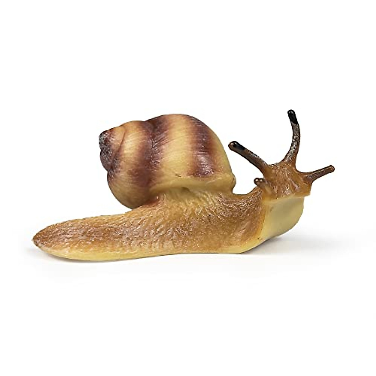 NAKIMO Snail Figurine for Fairy Garden Decor