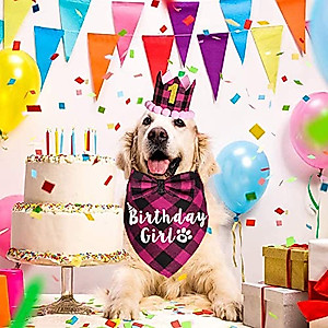 JOTFA Dog Birthday Party Supplies, Plaid Dog Birthday Bandana Girl with Dog Birthday Number Crown Hat Bowtie for Small Medium Dogs Birthday Outfit (Pink, Bandana & Hat & Bow Tie & Number)