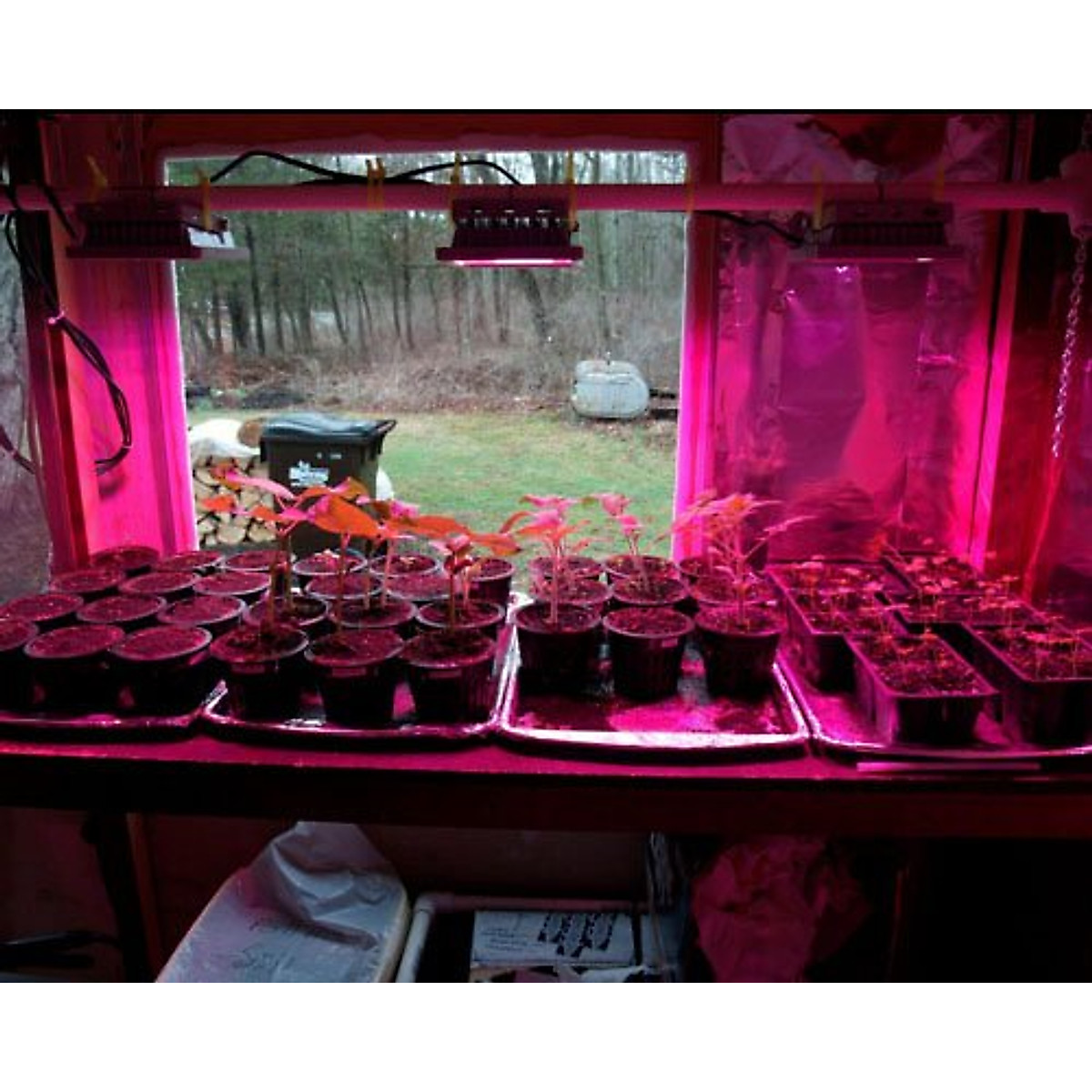 ACKE LED Grow Lights Full Spectrum,Plant Lights，Growing Lamps 12W for Indoor Plants,Hydropoincs