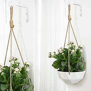 Mkono Hanging Plant Bracket 6 inch Metal Wall Plant Hook Decorative Plant Hanger for Bird Feeders, Planters, Lanterns, Wind Chimes, Home Decor Indoor Outdoor 2 Pack, White