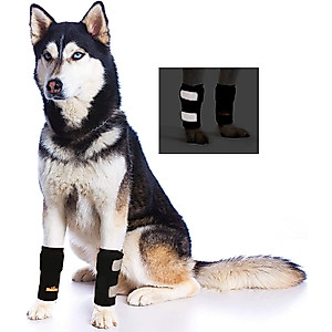 NeoAlly Dog Braces Front Leg Carpal Support Canine Wrist Braces with Safety Reflective Straps for Limping, Joint Pain, Lameness, and Loss of Stability from Arthritis (S/M Pair)