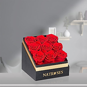 NATROSES Forever Preserved Roses in a Box, 100% Real Roses That Last Up to 3 Years, Flowers for Delivery Prime Birthday, Valentines Day Gifts for Her, Birthday Gifts (Red)