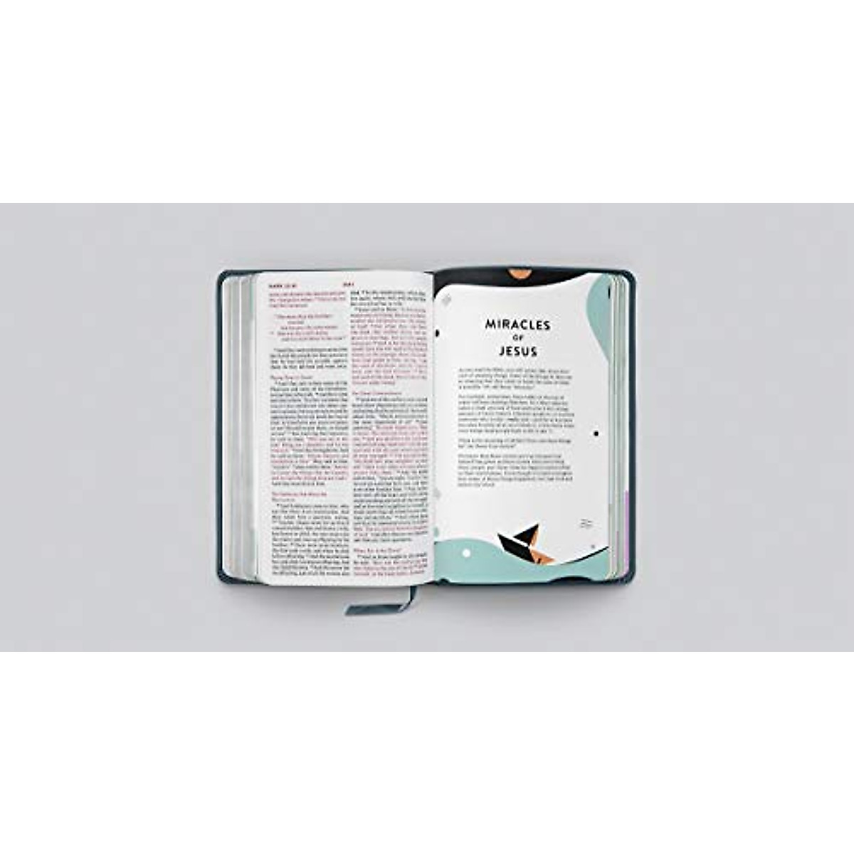 ESV Kid's Bible, Thinline (TruTone, Lion of Judah)