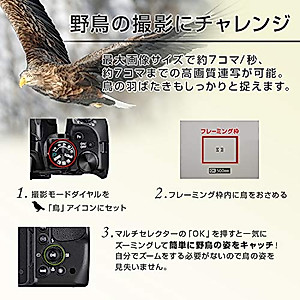 Nikon COOLPIX P900 16MP Digital Camera - International Version (No Warranty) Japan Version