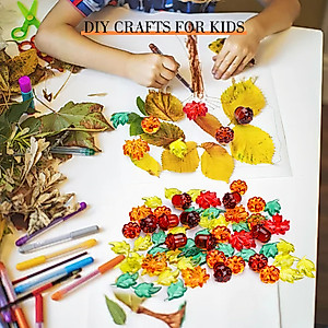 DomeStar 120PCS Thanksgiving Acrylic Pumpkin Fall Decorations, Vase Filler Gems Acrylic Leaves Acorns Maple Leaves for Home Decoration