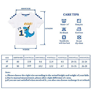 AMZTM 1st Dinosaur Birthday Boy T-Shirt Baby Boy One 1 Year Old Birthday Shirt Outfit First Dino Birthday Party Boy Top Tee White
