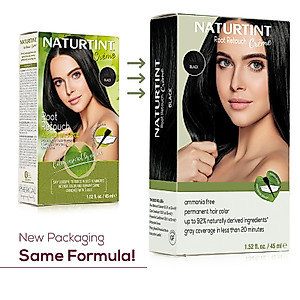 Naturtint Black Root Retouch Crème Permanent Hair Color - Ammonia Free, Conceal Grays, No Artificial Scent, 1.52 Fl Oz