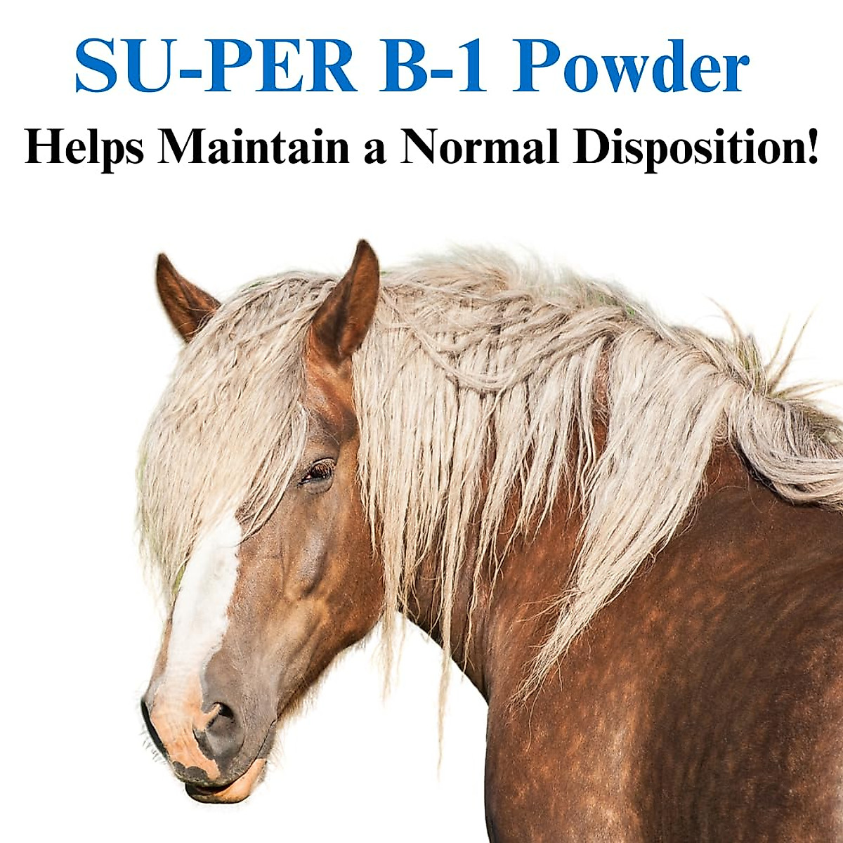 SU-PER B-1 Horse Calming Supplement - Equine Vitamin B-1 Support Horse Calmer Powder - Appetite Booster Supplement for Horses - 2.5 Pounds, (2 Pack)