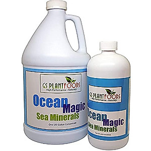 Ocean Magic Sea Mineral Fertilizer by GS Plant Foods(1 Gallon) - Soil Mineral Health Improvement Liquid Concentrate - Sea Minerals for Lawn and Turf, Gardens & House Plants