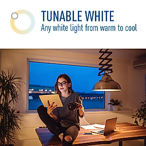 Cree Connected Max Smart Led Vintage Glass Filament Bulb B11 Candelabra 40W Tunable White, 2.4 Ghz, Works with Alexa and Google Home, No Hub Required, Bluetooth + WiFi, 1Pk (Cmb11-40W-Al-9Tw-Gl)