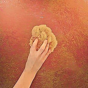 Natural Sea Sponges for Artists - Unbleached 5"-5.5" 2pc Value Pack: Great for Painting Decorating Texturing Sponging Marbling Effects Faux Finishes Crafts & More