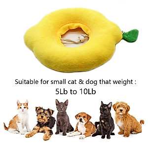 Vehomy Pet Cat Recovery Collar Cat Soft Lemon Neck Cone Adjustable Pet E Collar After Surgery, Wound Healing Protective Cat Elizabethan Collar for Kitten & Puppy