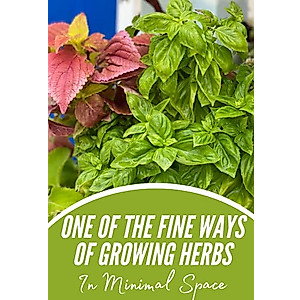 EXO Garden Hydroponic Growing System Vertical Tower - Vegetable Plant Tower Gift for Gardening Lover - Automate Aeroponics Mini Indoor Outdoor Home Grow Herb