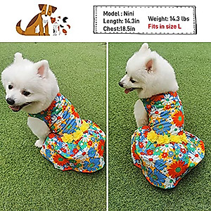Dog Dresses for Small Dogs - Colorful Flower Print Small Dog Dress Puppy Dress Dog Apparel Summer Dog Cloth for Small Dog Girls (M(7.5-10.5lbs))