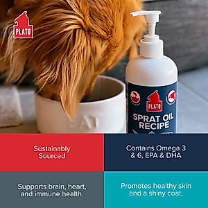 PLATO Pet Treats Fish Oil for Dogs - Omega 3 Oil for Dogs - Supports Healthy Skin and Coat - Baltic Sprat Oil Recipe 16oz