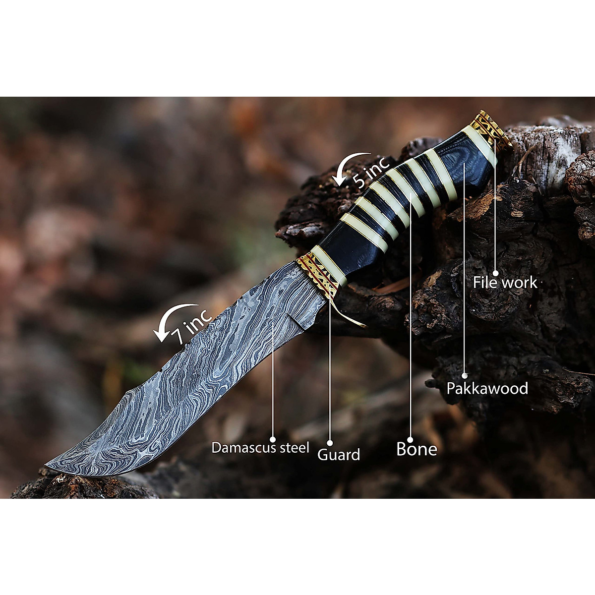 12.5 Inch long Hunting knife, Collectible knife, Scale is made of Camel bone and dollar wood, embellished with Engraved brass finger guard and pommel, Hand forged Twist pattern Damascus steel blade, Comes with Leather sheath