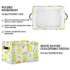 xigua Fresh Lemons Pattern Square Storage Basket,Collapsible Sturdy Fabric Storage Basket Cube W/Handles for Clothes Toy Closet(1 pcs)
