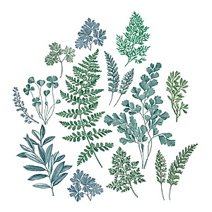 WallPops DWPK2867 Greenery Art Kit Wall Decal, Green