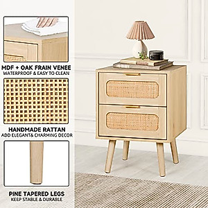 LAZZO Set of 2 Nightstands Wooden Night Stands with Rattan Drawers Home Bedside End Table for Bedroom (2 Drawers Design)