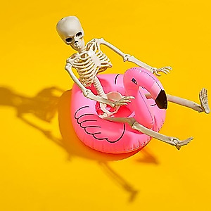 WODMAZ 5 Packs Halloween Skeleton Decorations, 16" Halloween Full Body Mini Skeleton with Movable Posable Joints, Spooky Plastic Skeleton for Yard Garden Lawn Haunted House Graveyard Props Decor