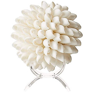 Tumbler Home Real White Seashell Sphere with Lucite Stand | 3 Inches Wide | Beach House Shelf Decor