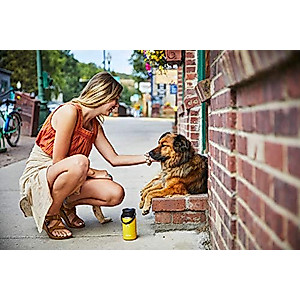 Hydro Flask 16 oz Wide Mouth Bottle with Flex Sip Lid White