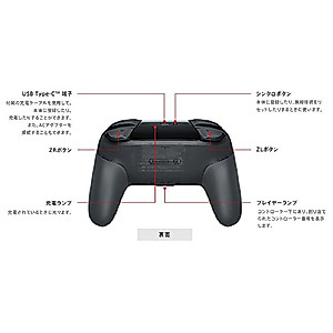 Nintendo Switch Pro Controller [Switch]