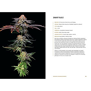 Higher: The Lore, Legends, and Legacy of Cannabis