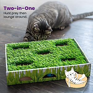 Catstages Grass Patch Hunting Box Cat Toy
