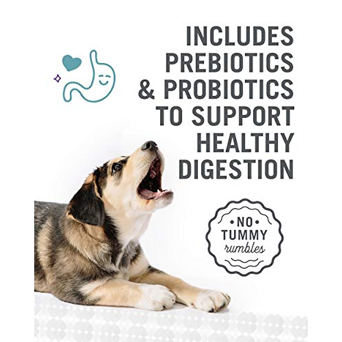 "I and love and you" Naked Essentials Dry Puppy Food - Natural Grain Free Kibble, Prebiotics & Probiotics, Chicken + Lentils, 4-Pound Bag