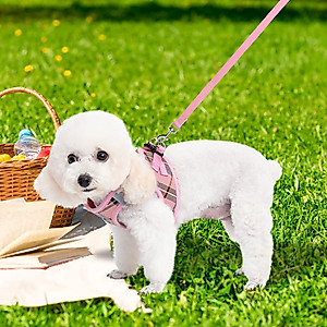 EXPAWLORER Classic Plaid Puppy Harness - Small Dog Harness and Leash Set - Dog Collar and Leash Set with AirTag Holder, Soft Padded Step in Dog Vest Harness No Pull Reflective for Outdoor, Pink S