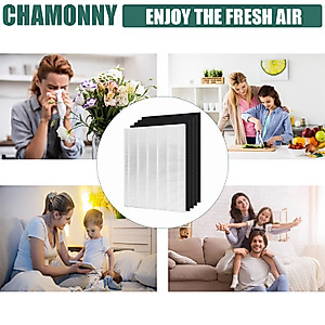 CHAMONNY D480 True HEPA Replacement Filter D4, Compatible with Winix D480 Air Purifier, Compare to Winix D4 Filter, Item Number 1712-0100-00, 2 H13 True HEPA Filters + 8 Activated Carbon Pre-Filters