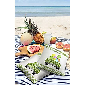 Pack of 2 Outdoor Pillow Covers Happy Easter Colorful Floral Texture Truck Waterproof Decorative Patio Cushion Cover Green Check Outdoor Throw Pillows for Patio Furniture Garden Sofa 18x18 Inch