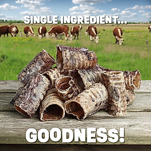 PUPDAWGS 7" Beef Trachea Dog Training Treats | Dental Chews for Dogs | All Natural Dog Treats Made in USA | Beef Esophagus Low Calorie Dog Treats for Joint Health Support (7 Inch Tracheas - 7 Pack)