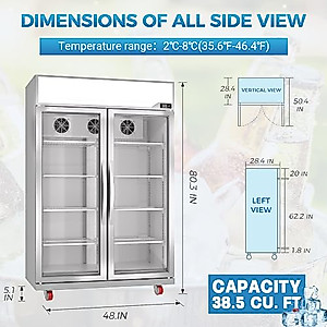 HIPOPLLER Commercial Glass 2 Door Display Refrigerator Merchandiser - Upright Beverage Cooler with LED Lighting - 38.5 Cu. Ft., Silver