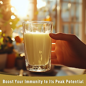 UNLEASH'D ORGANIC Organic Ginkgo Biloba Powder 16 oz Supports Brain Function and Mental Alertness Vegan Friendly Raw and Non-GMO