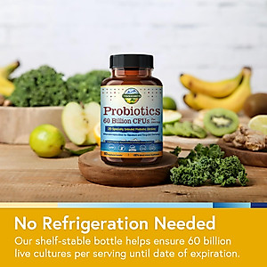 Terranics Probiotics 60 Billion CFU, 20 Strains, 60 Veg Capsules, Prebiotics & Probiotics, Shelf Stable Probiotic Supplement for Men & Women, Digestive & Immune Health, Non-GMO, NO Soy, Dairy & Gluten