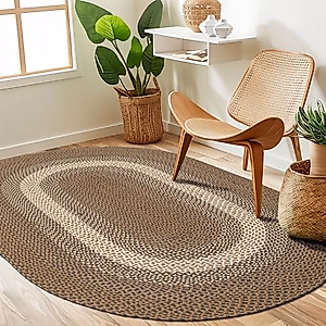 Super Area Rugs Brown Braided Rug for Kitchen/Dining Room, Taupe Gray Indoor Outdoor Braided Rug for Patio/Porch 4' x 6' Oval