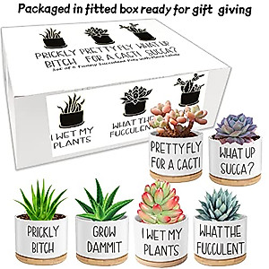Succulent Pots 6 Pack, 3.15” Ceramic Funny Succulent Planters with Drainage and Bamboo Tray, Small Plant Pots with Plant Labels for Indoor Outdoor Plant, Birthday Gifts for Women - Plants Not Included