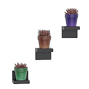 RICHER HOUSE 3-Pack Small Floating Shelves for Wall, Plastic Small Black Shelf 4 Inch Display Ledges for Small Decor, Mini Shelf for Wall with 2 Types of Installation (Adhesive or Screw)