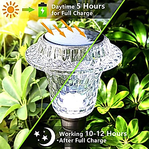 Biicais BIICAIS Solar Outdoor Lights Pathway, 4 Pack Solar Walkway Lights, 12LM High Lumen Glass Solar Lights for Yard Waterproof