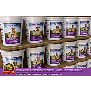 #1 Premium Antarctic Krill Oil Soft Chews for Dogs | Rich in Omega 3 | Astaxanthin | Vitamin E | For Skin and Coat | Low Allergen | Low Calorie | cGMP Certified | Made in USA | 60 Savory Soft Chews