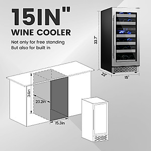COLZER Elegant Mini Wine Fridge, 18 Bottle, 12 inch, Built-in or Freestanding, Stainless Steel, Double-Layer Tempered Glass Door