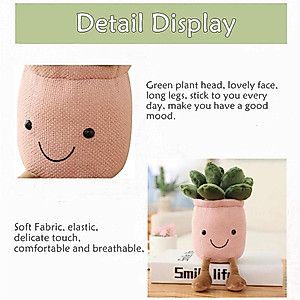 AUCOOMA Succulent Plants Stuffed Toy for Kids, Soft Simulation Potted Plush Toy Doll